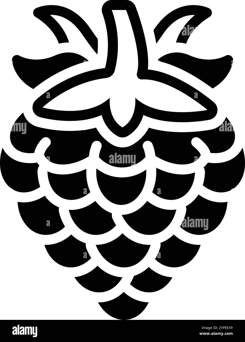 Raspberry rubus idaeus Stock Vector Images - Alamy