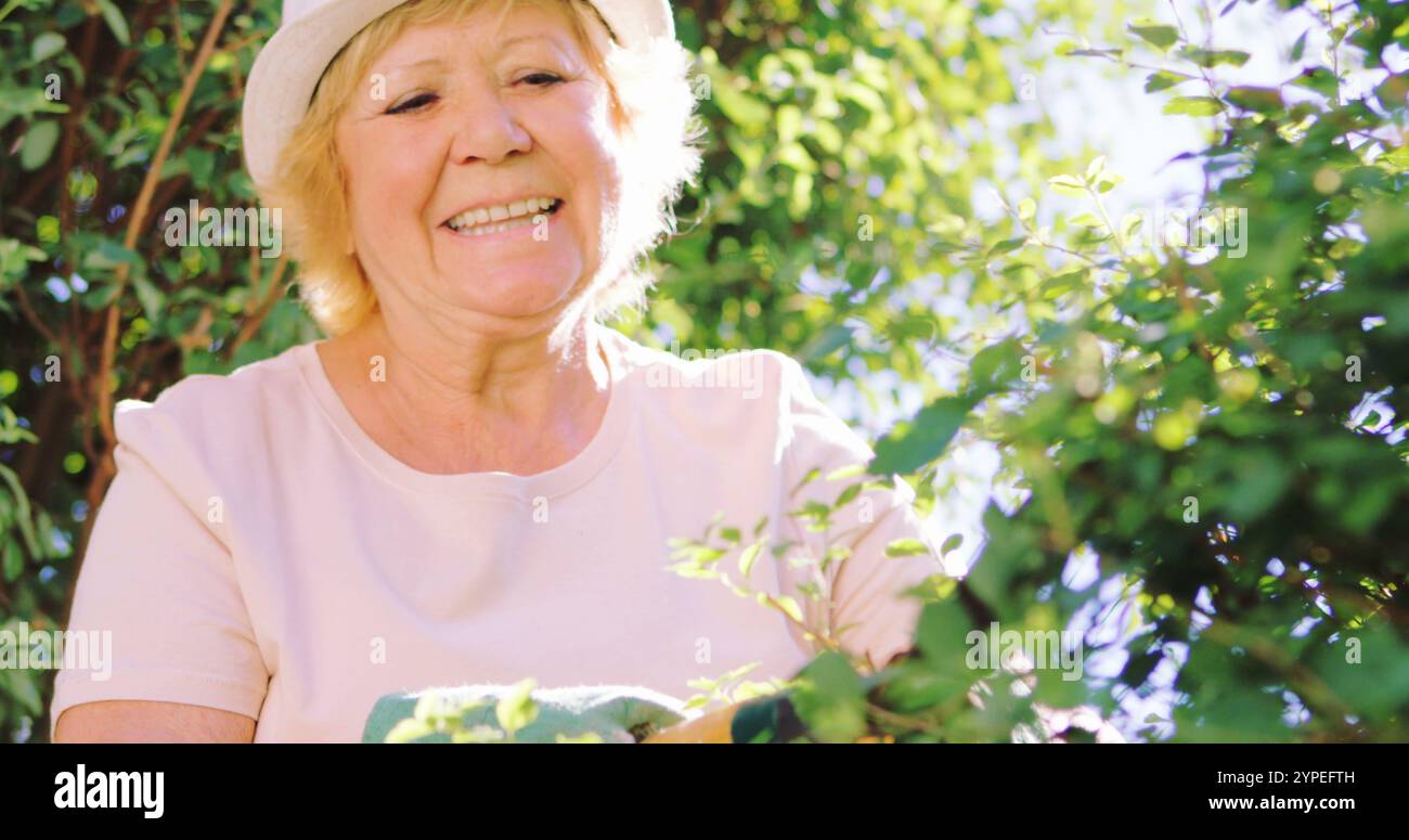 Gardener trimming hedge pair gardening hi-res stock photography and ...