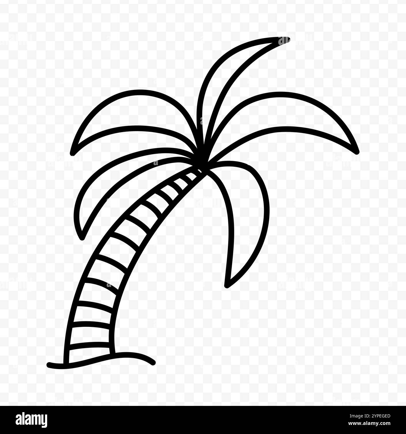 Vector illustration of hand drawn palm tree doodle on transparent ...