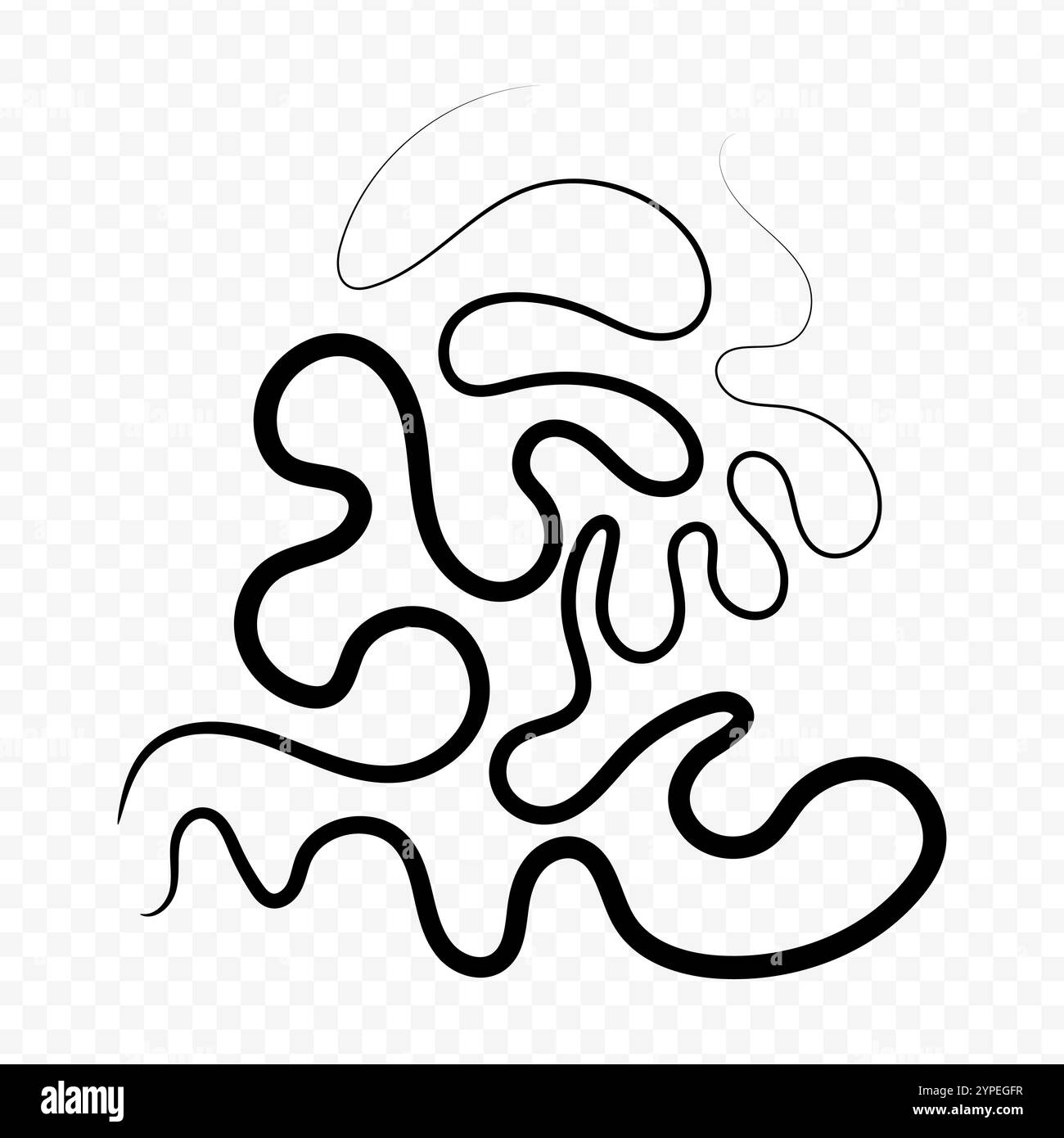 Vector hand drawn curvy lines on transparent background Stock Vector ...