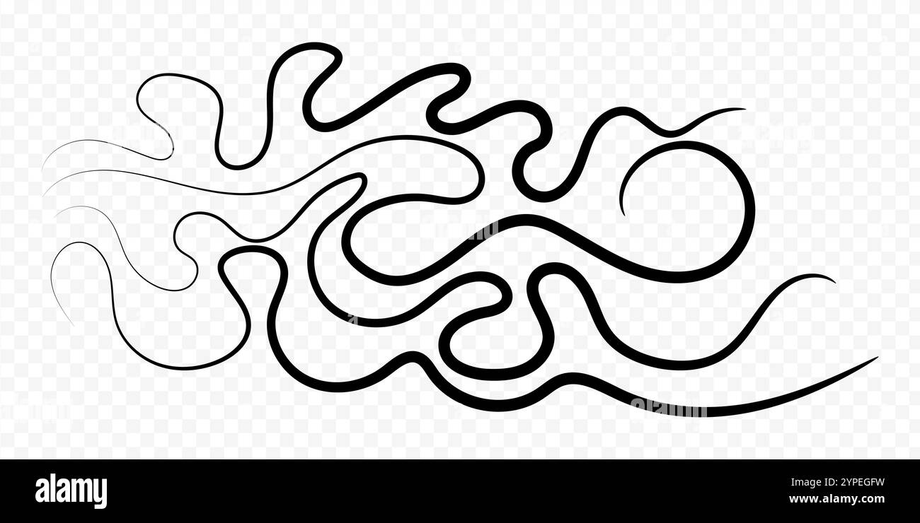 Vector hand drawn curvy lines on transparent background Stock Vector ...