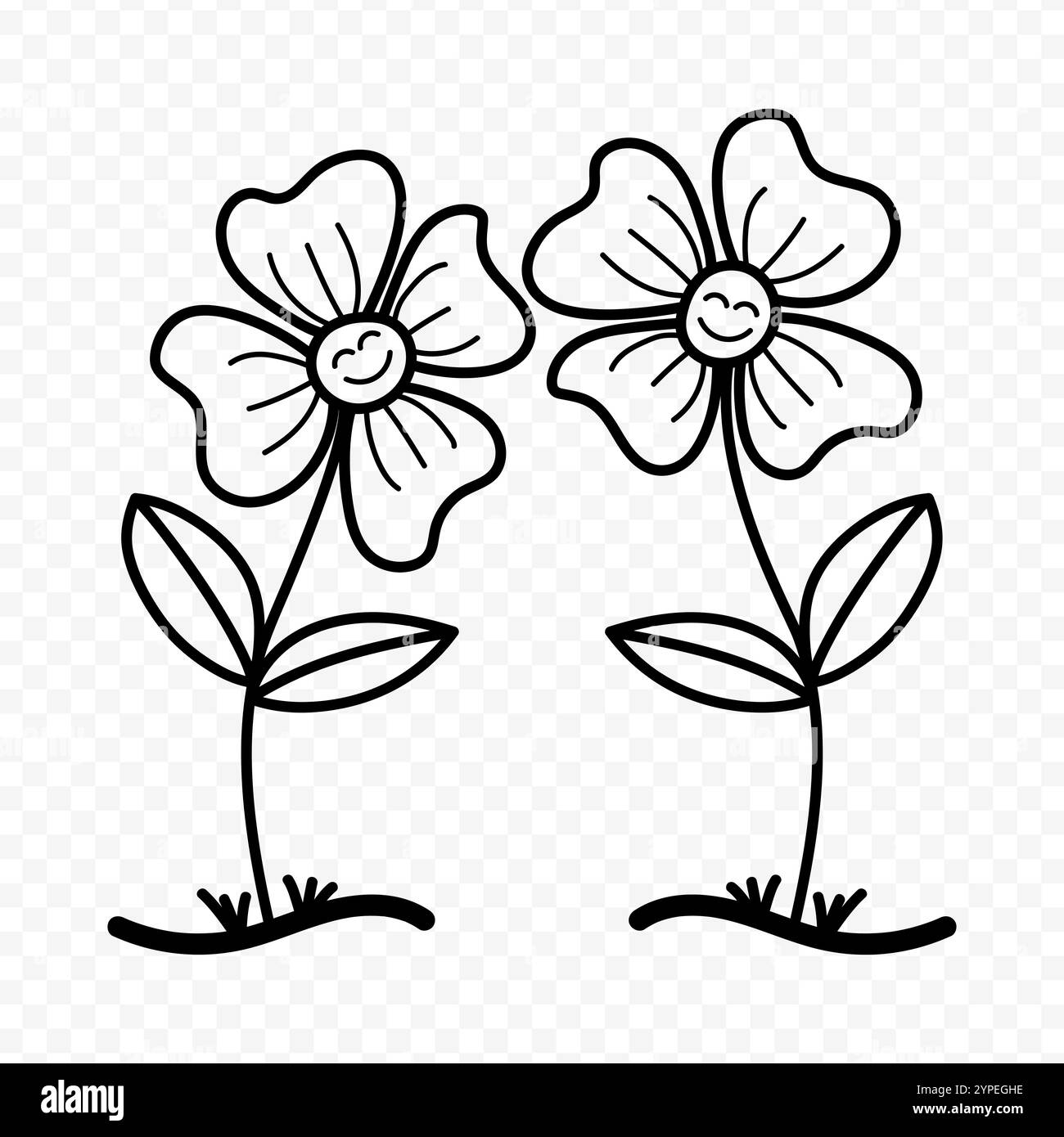 Vector hand drawn two beautiful flowers on transparent background Stock ...