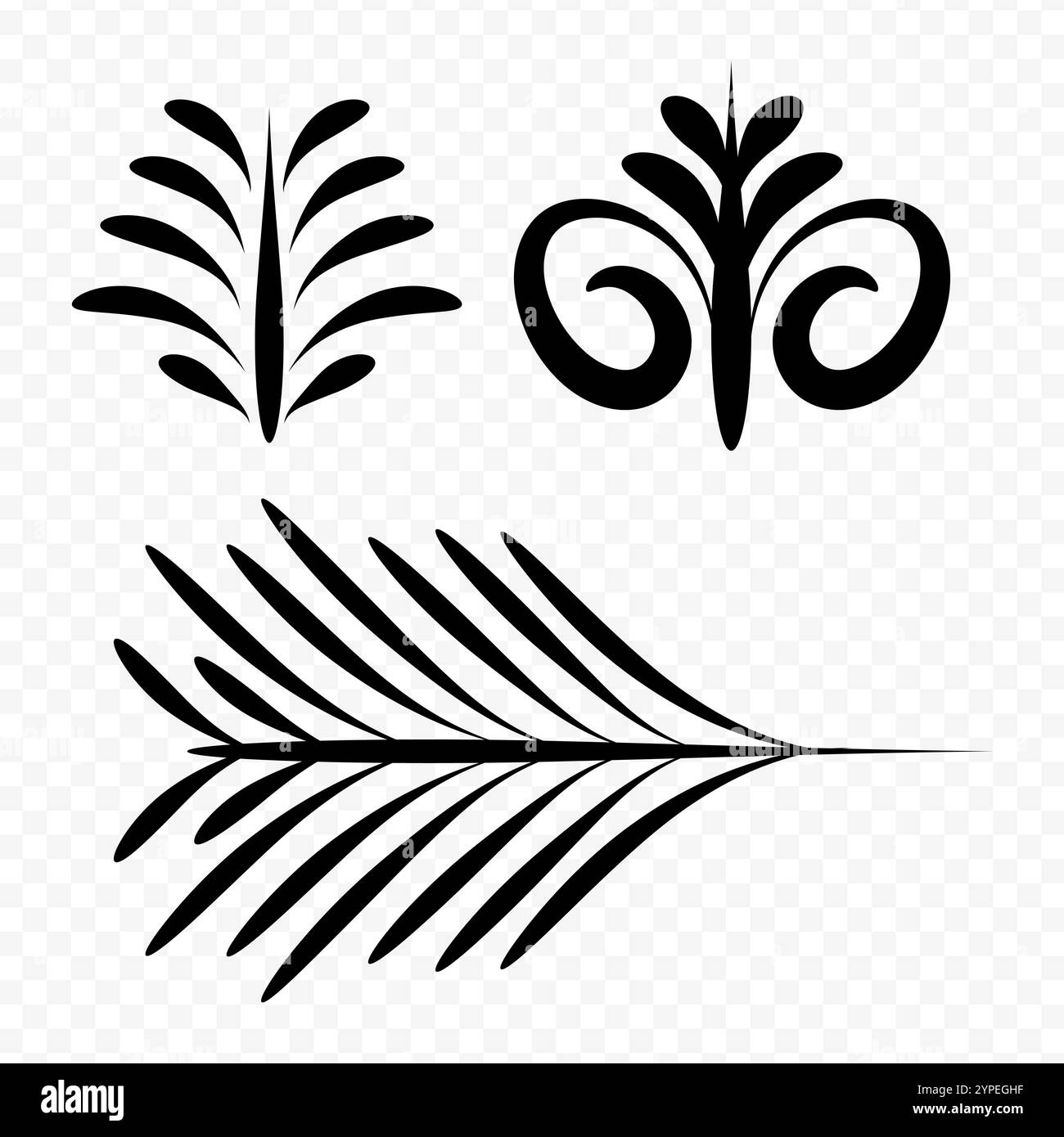 Vector hand drawn fern doodle set on transparent background Stock ...