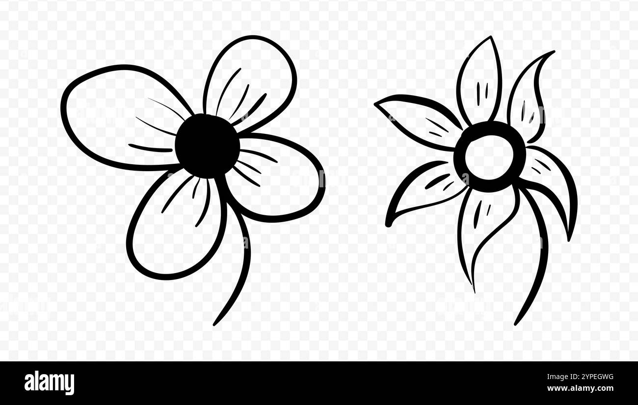 Vector hand drawn two beautiful flowers on transparent background Stock ...
