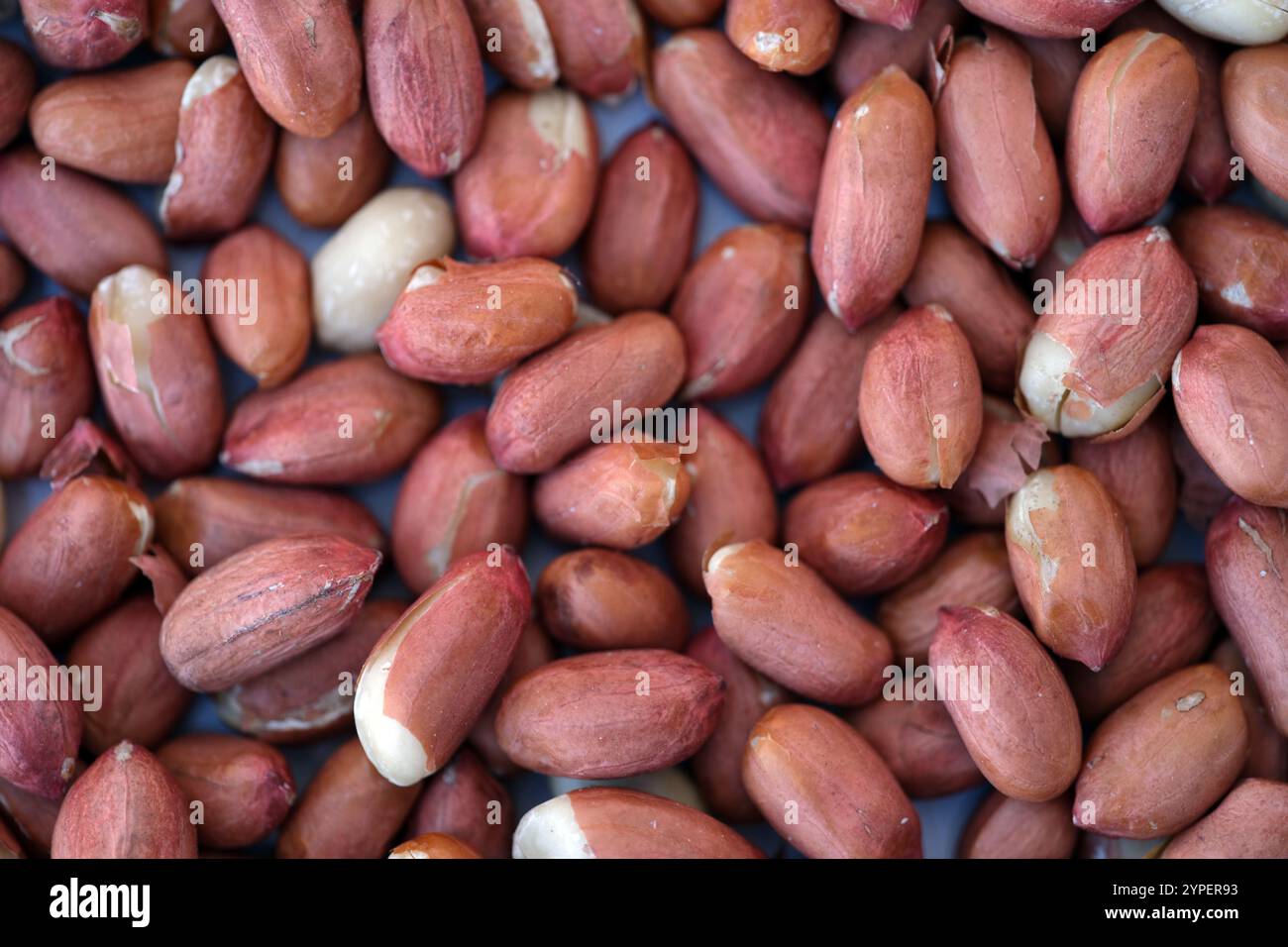 CloseUp Photograph of Raw Peanuts Featuring Red Skin on Display for the ...