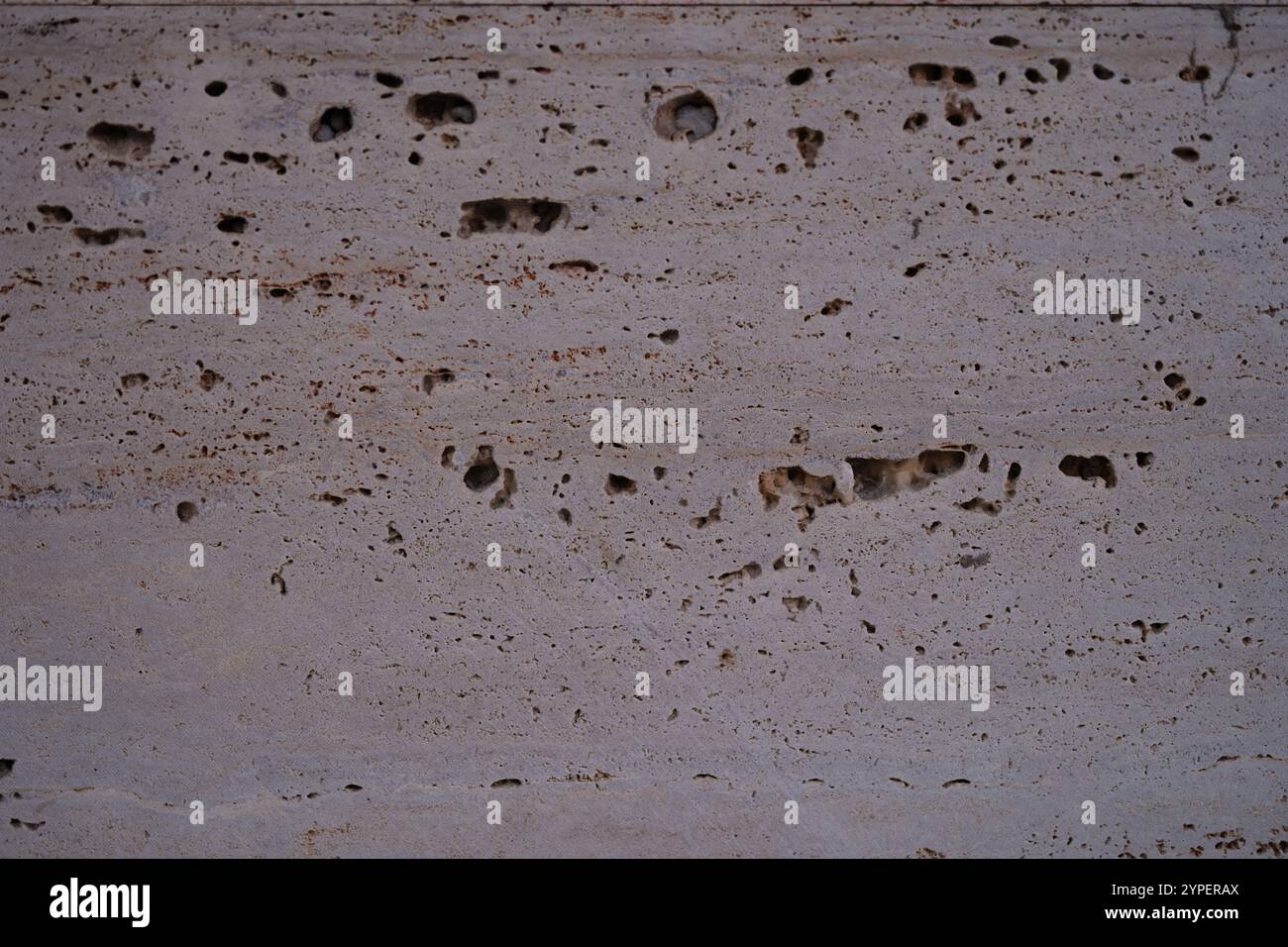 Textured Concrete Surface Featuring Distinct Pockmarks and Veins ...