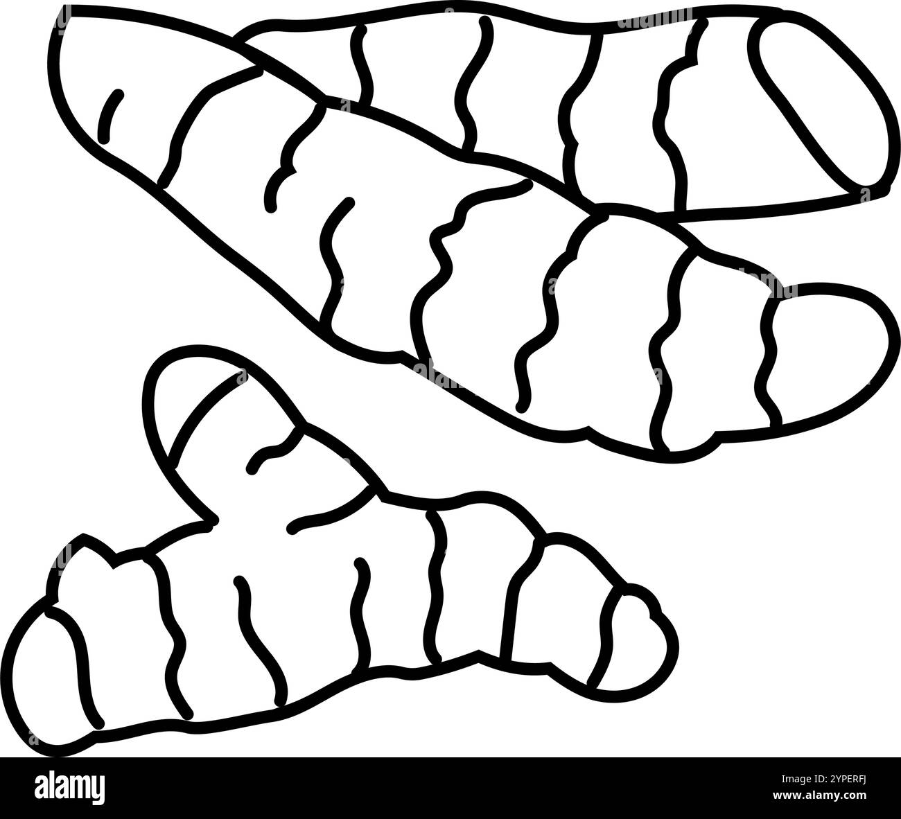 turmeric root ayurvedic herb line icon vector illustration Stock Vector ...