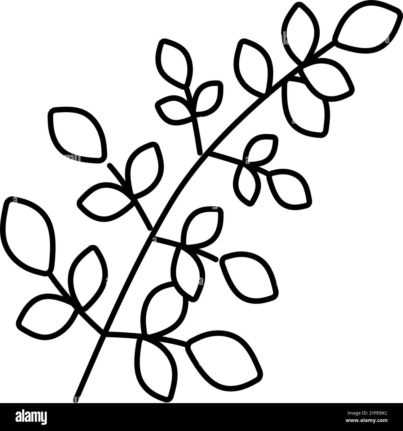 moringa leaves ayurvedic herb line icon vector illustration Stock ...