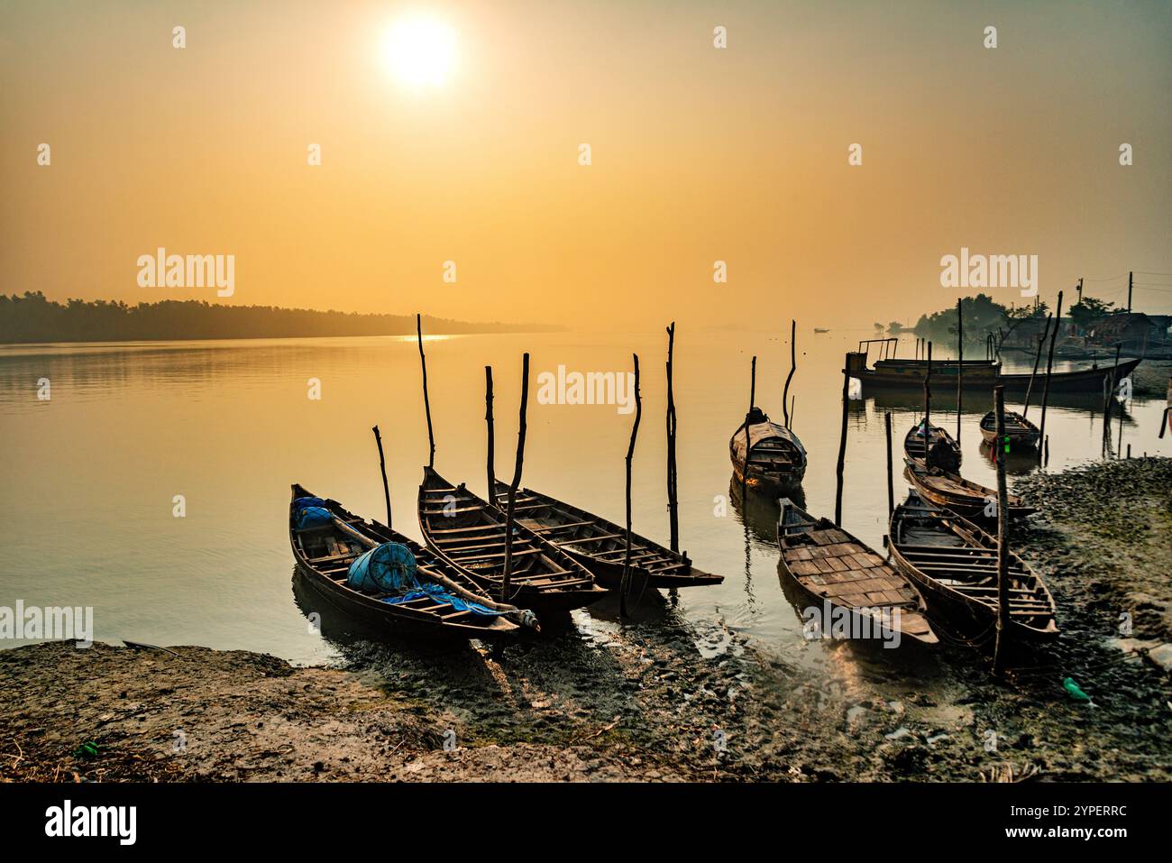 World largest mangrove forest Sundarbans, famous for the Royal Bengal ...