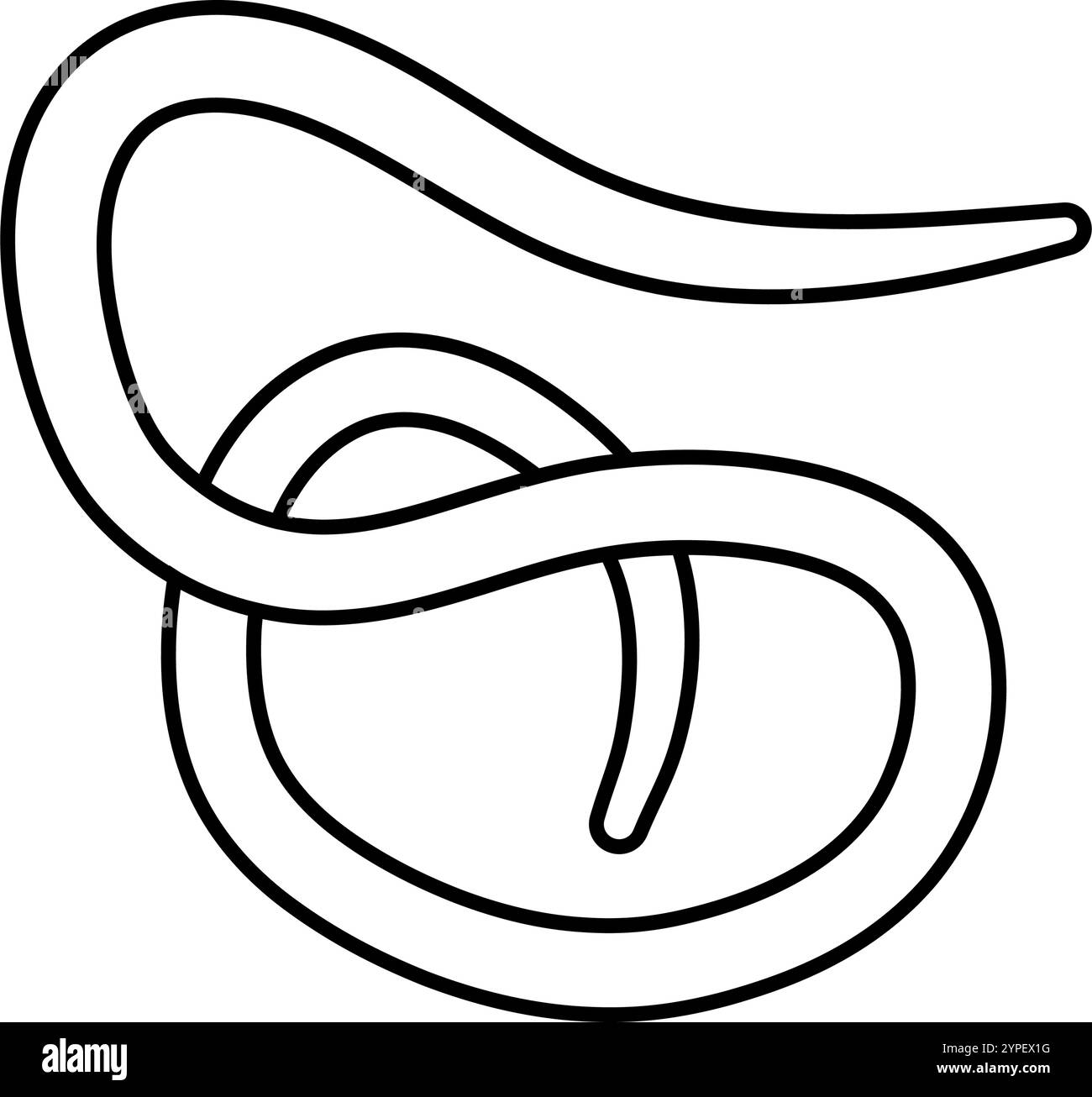 Lice vector Black and White Stock Photos & Images - Alamy