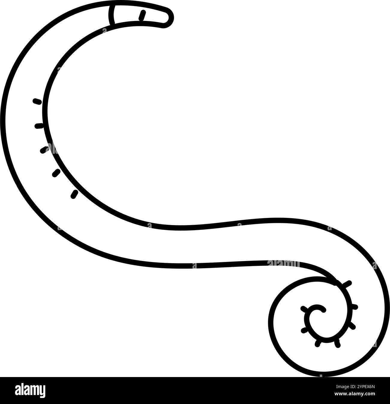 Parasite intestinal Black and White Stock Photos & Images - Alamy