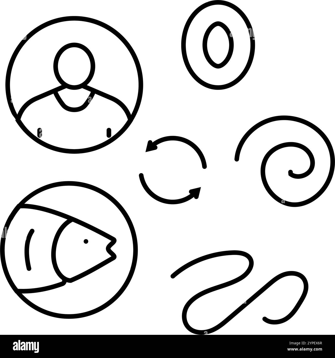 worm lifecycle parasite line icon vector illustration Stock Vector ...