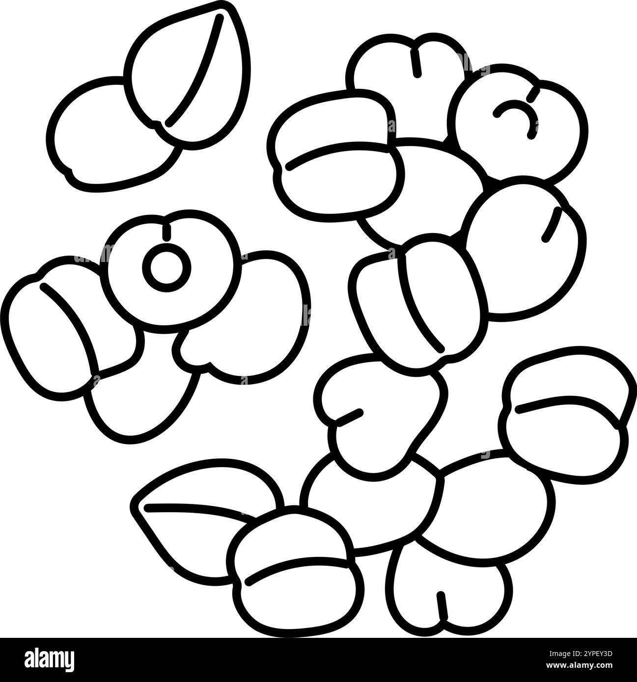 chickpeas vegan food line icon vector illustration Stock Vector Image ...