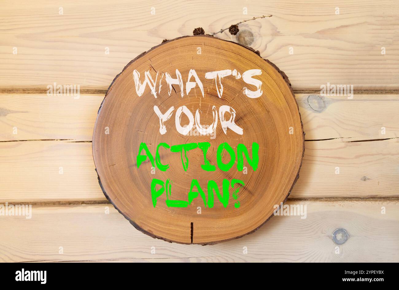Action plan symbol. Concept words What is your action plan on beautiful ...
