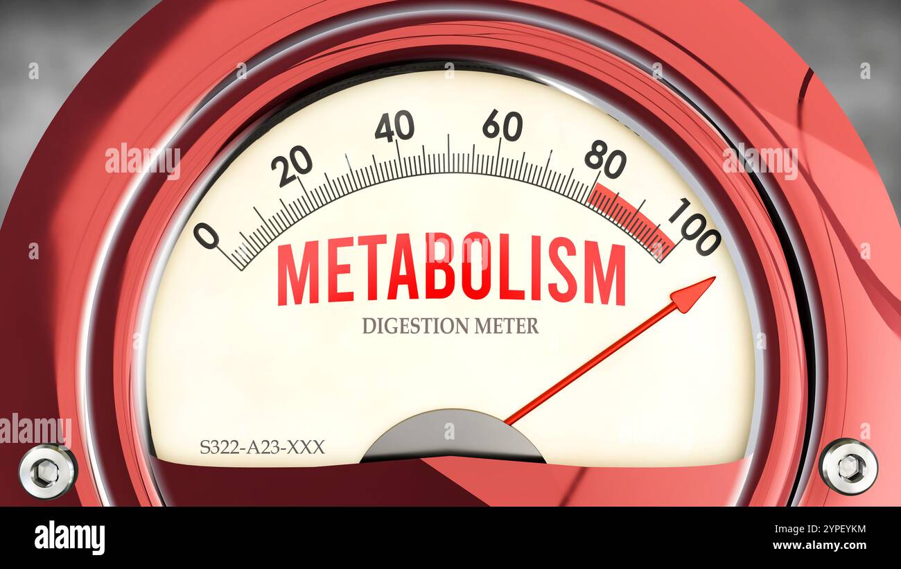 Digestion meter hi-res stock photography and images - Alamy