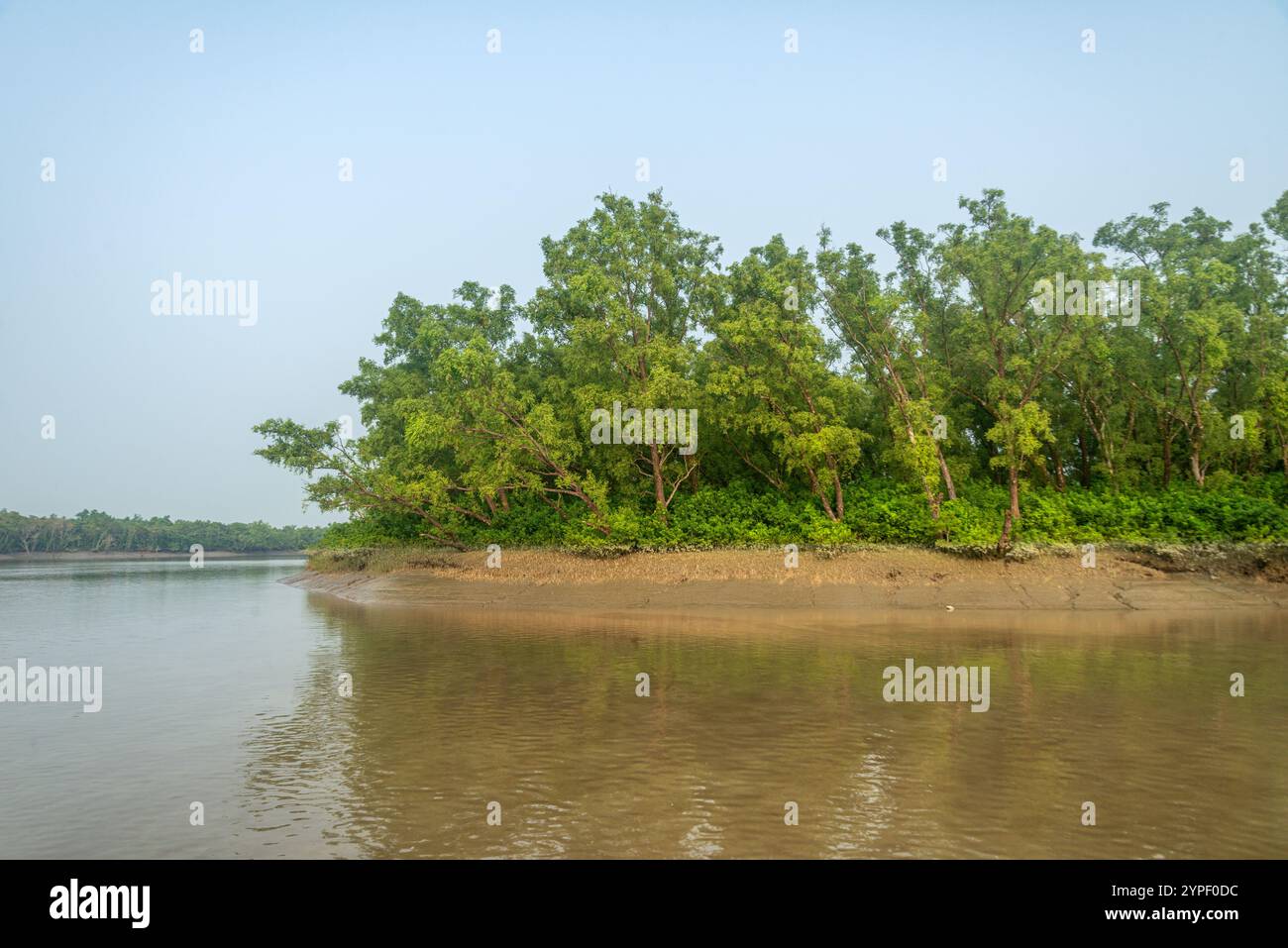 World largest mangrove forest Sundarbans, famous for the Royal Bengal ...
