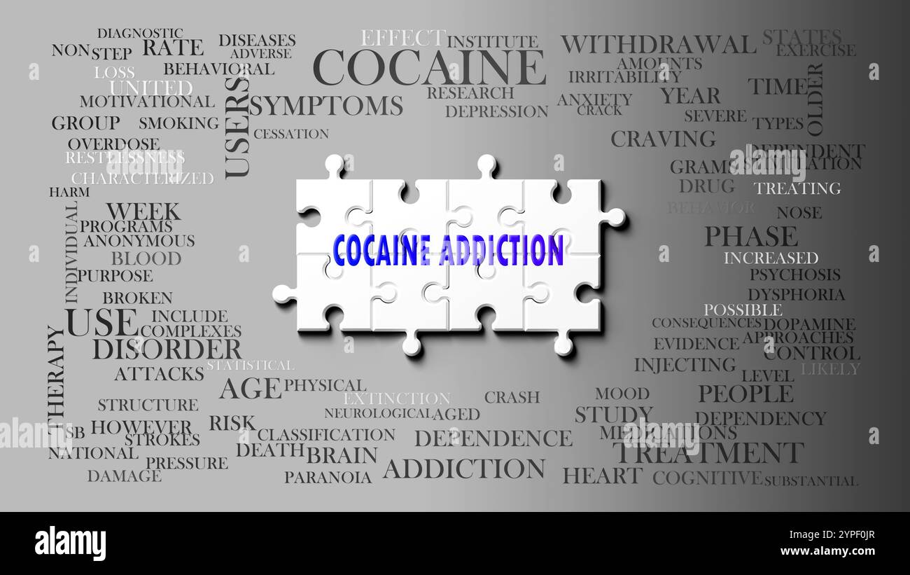 Cocaine Addiction as a complex subject, related to important topics ...