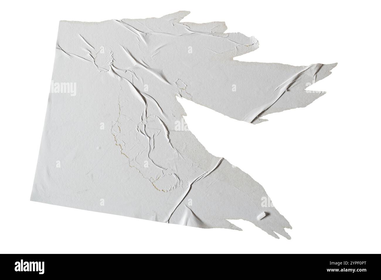 Peeled white poster paper isolated on white background with clipping ...
