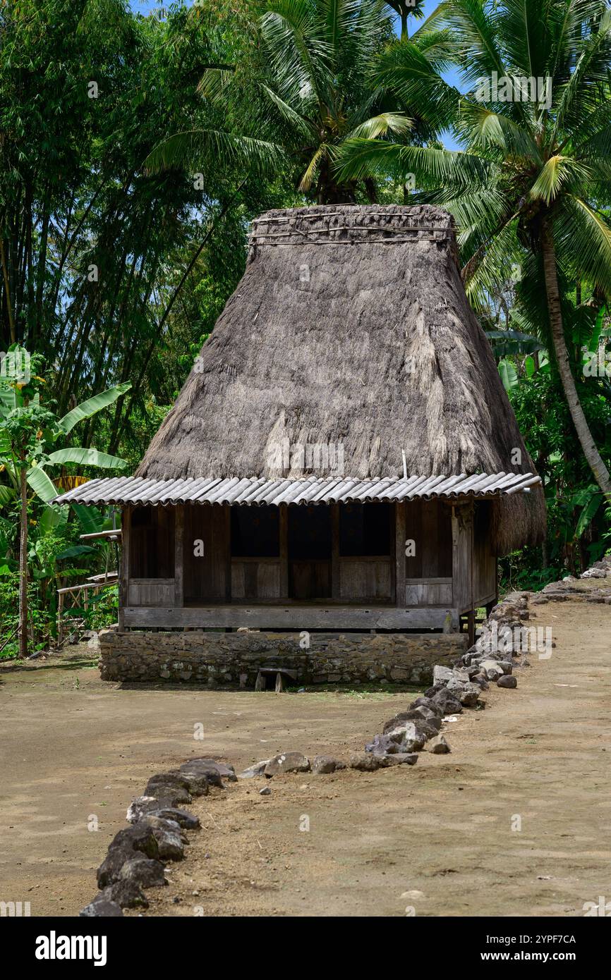 Luba Traditional Village Straw Thatched Tribal House of the Ngada Tribe ...