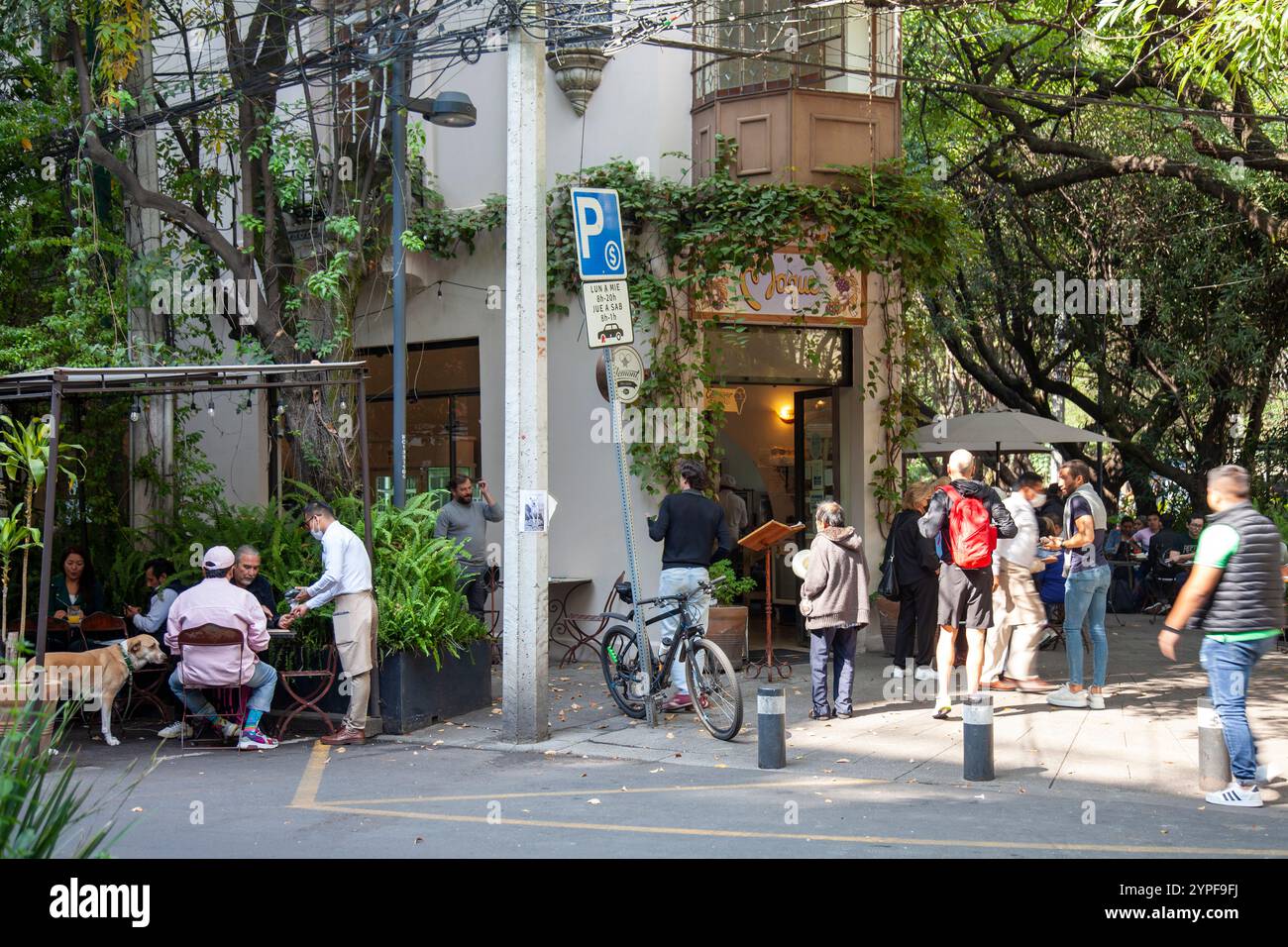 Condessa mexico hi-res stock photography and images - Alamy