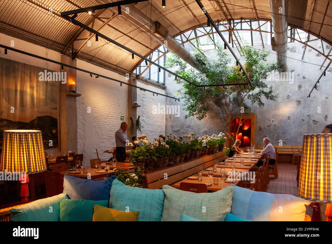 Maximo Restaurant in Roma Norte, Mexico City, Mexico Stock Photo - Alamy