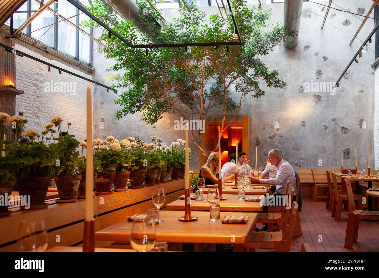 Maximo Restaurant in Roma Norte, Mexico City, Mexico Stock Photo - Alamy