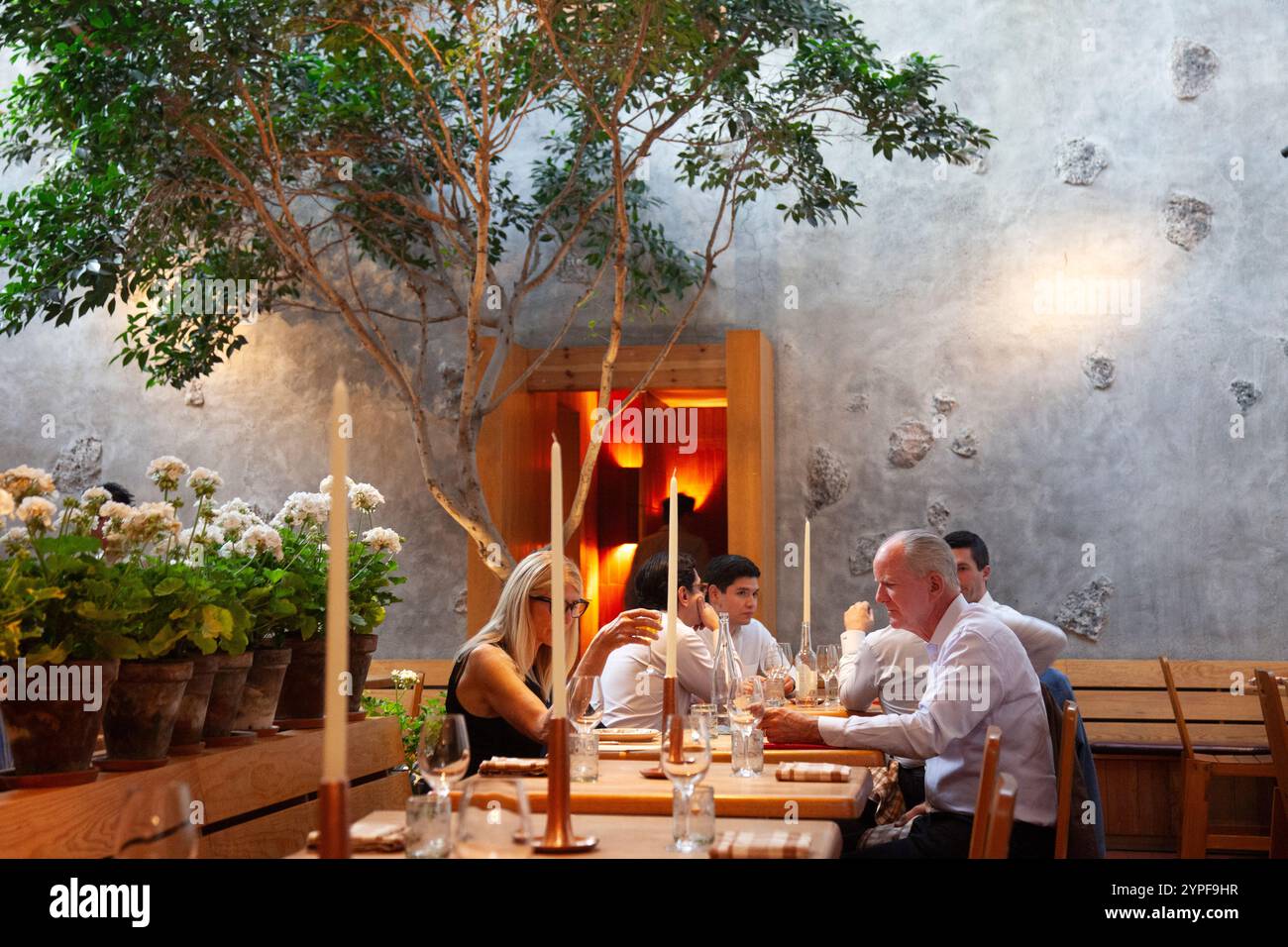 Maximo Restaurant in Roma Norte, Mexico City, Mexico Stock Photo - Alamy
