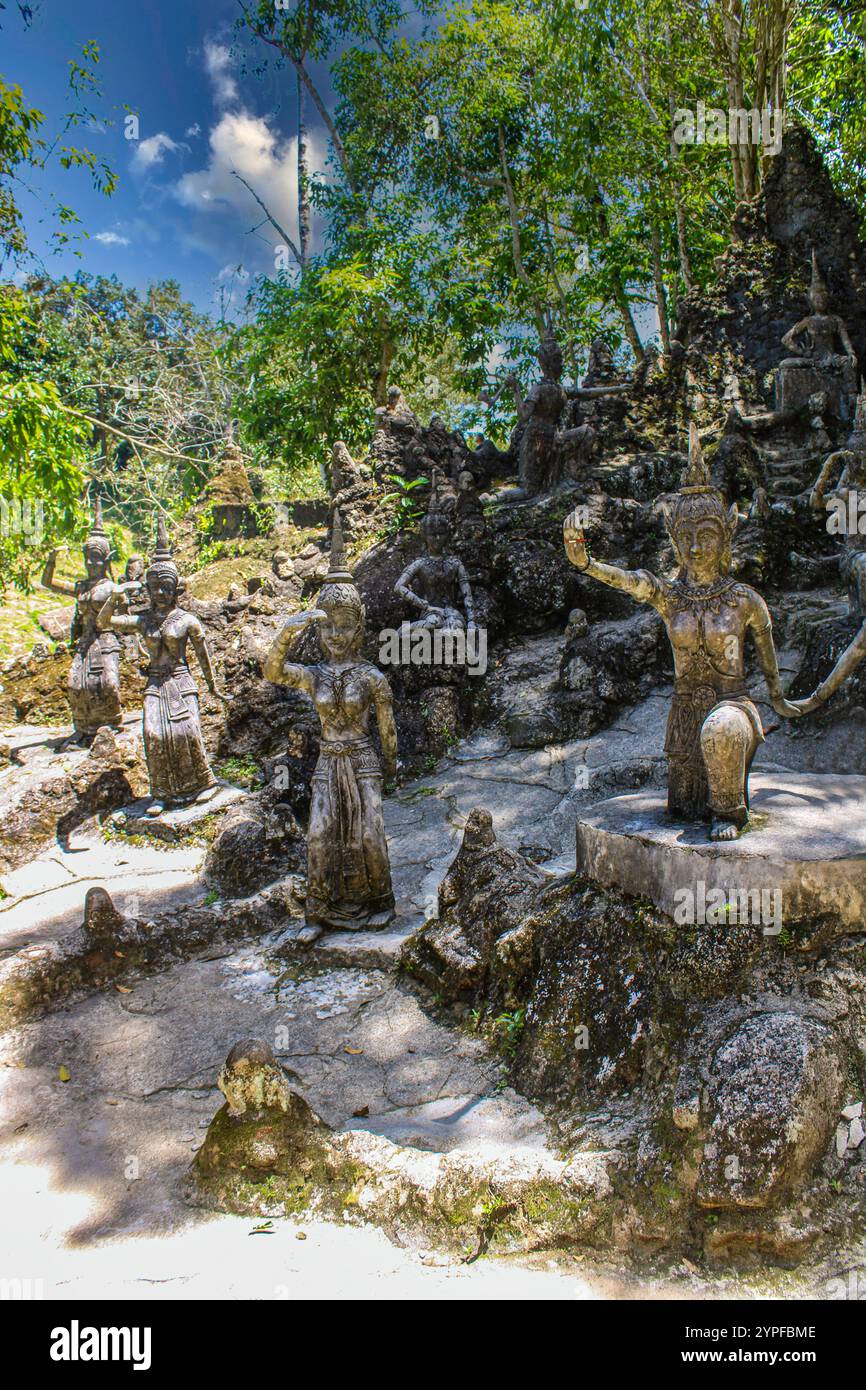 árbol nim hi-res stock photography and images - Alamy