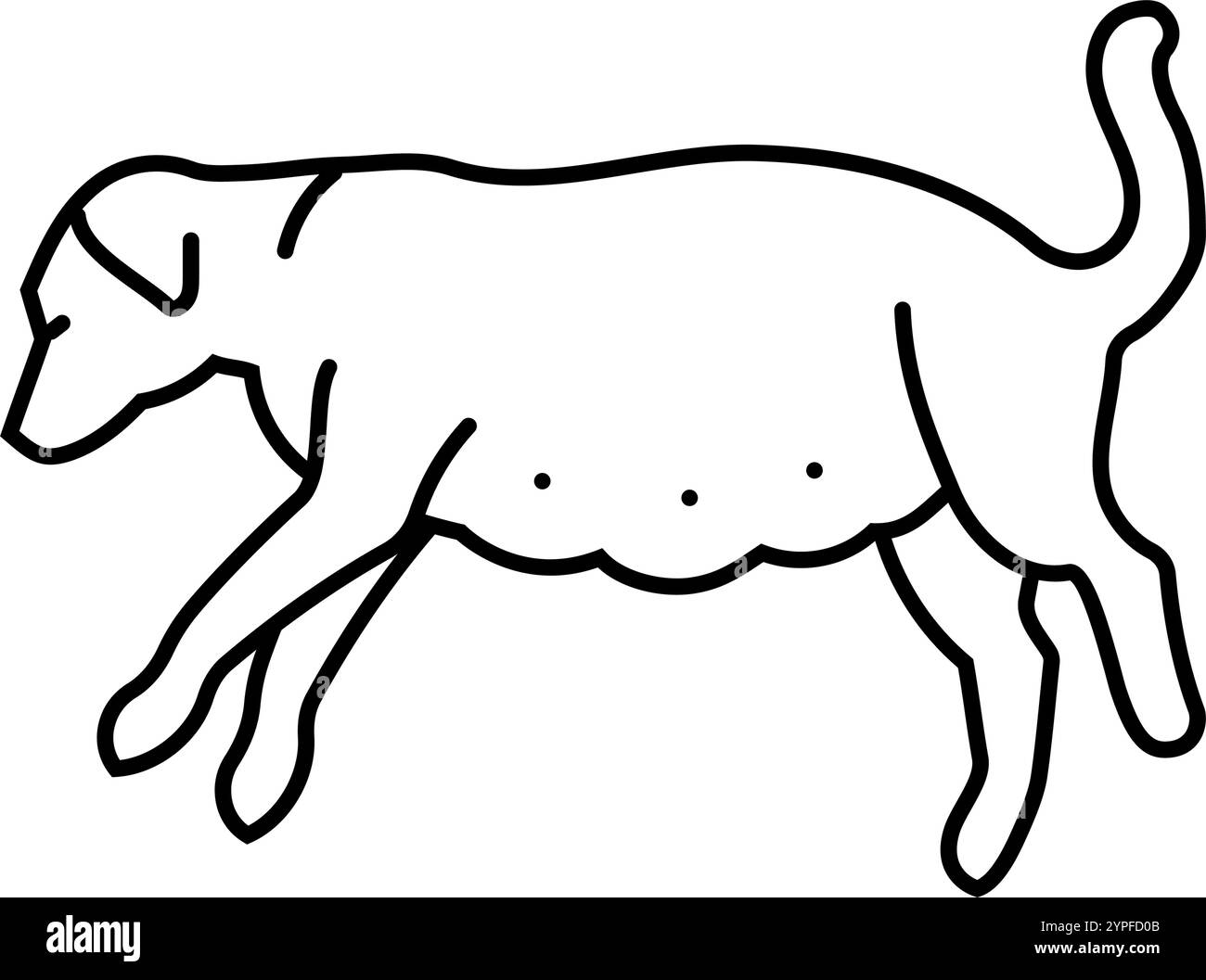 pregnant dog line icon vector illustration Stock Vector Image & Art - Alamy