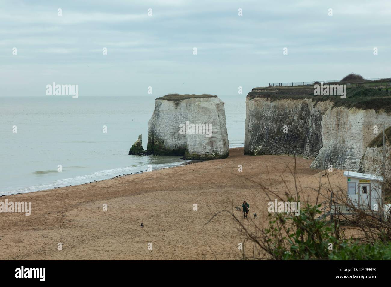 Sea stack at Botany Bay,Broadstairs in Kent collapses 29/11/24 Stock ...