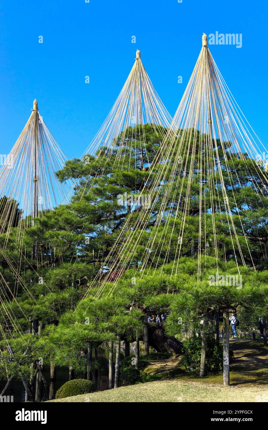 Yukitsuri ropes hi-res stock photography and images - Alamy