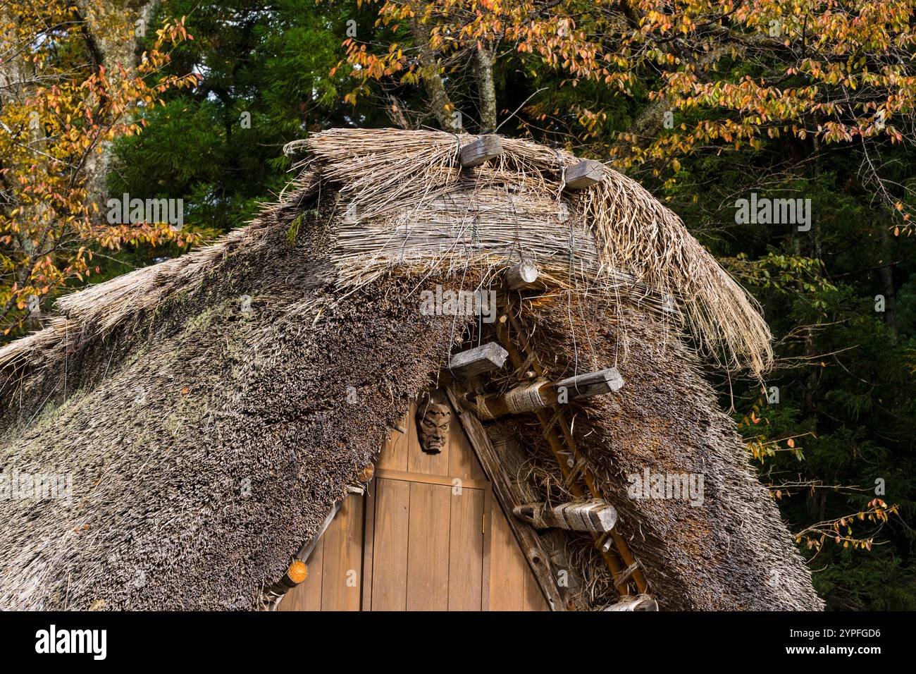Traditional farmhouse with gassho-zukuri roof in Ogimachi (Shirakawago ...