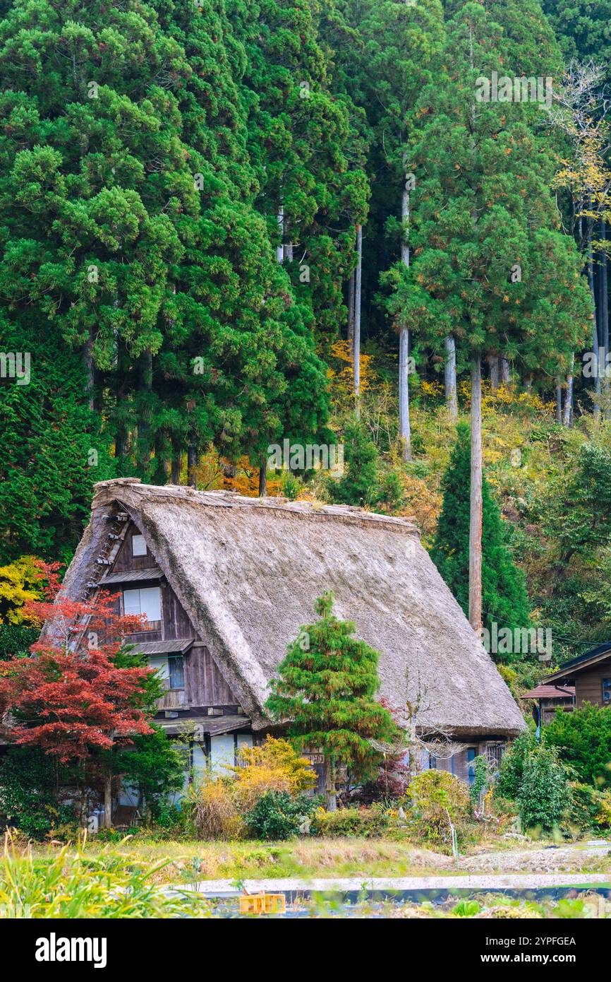 Traditional farmhouse in Ogimachi (Shirakawago/Japan Stock Photo - Alamy