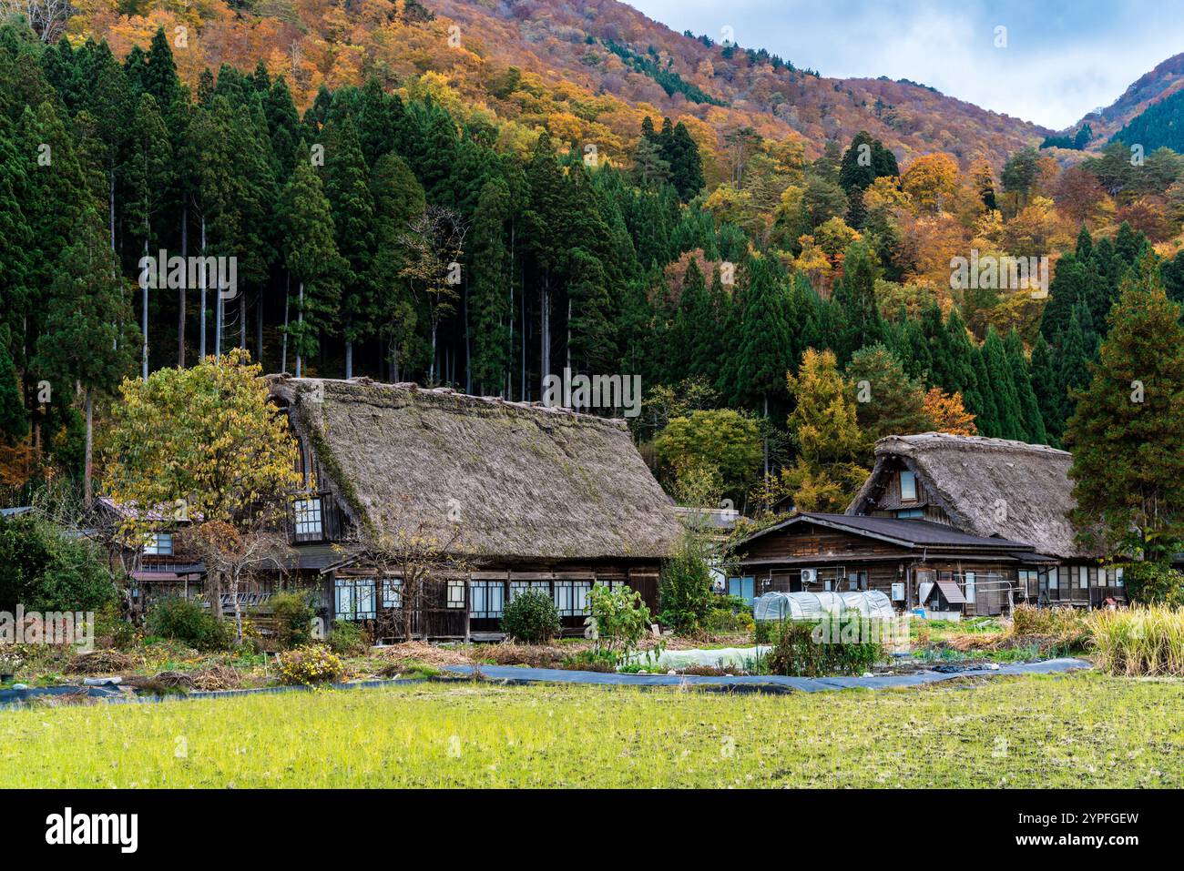 Traditional japanese farmhouses in hi-res stock photography and images ...