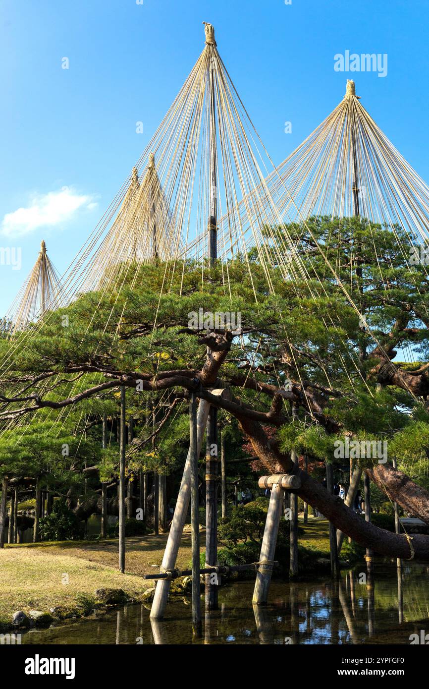 Yukitsuri ropes hi-res stock photography and images - Alamy