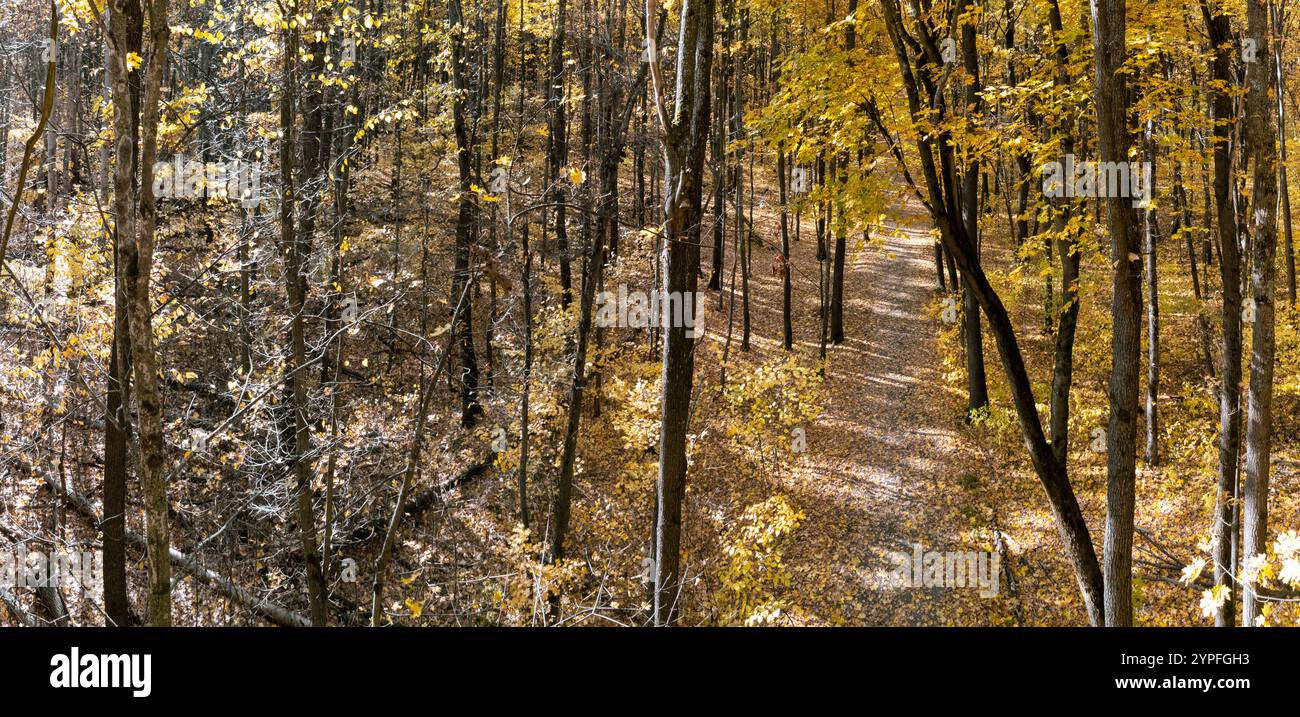 Panorama golden autumn in hi-res stock photography and images - Alamy
