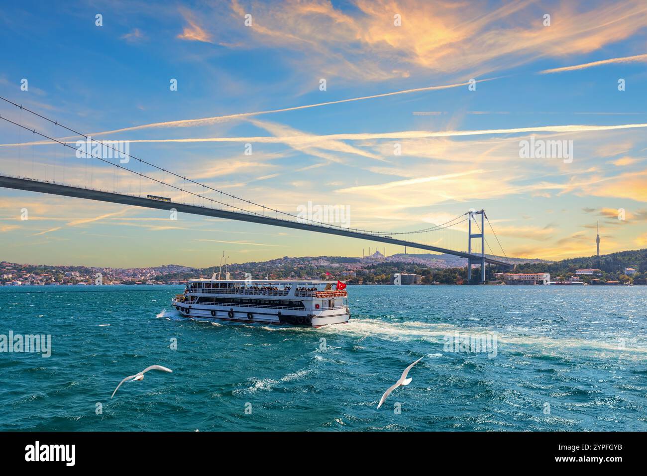 Cruise ship is sailing under the Bosphorus bridge, sunset view ...