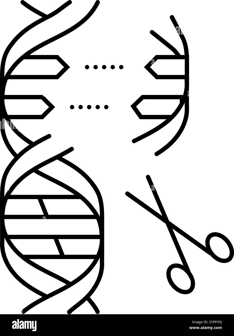 gene editing scissors genetic line icon vector illustration Stock ...