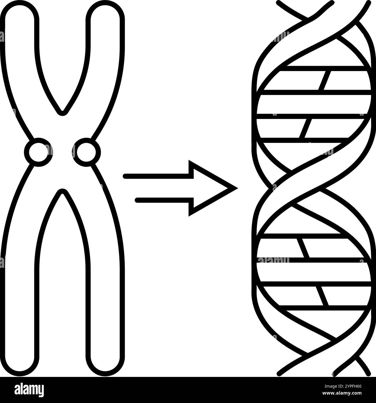 gene genetic engineering line icon vector illustration Stock Vector ...