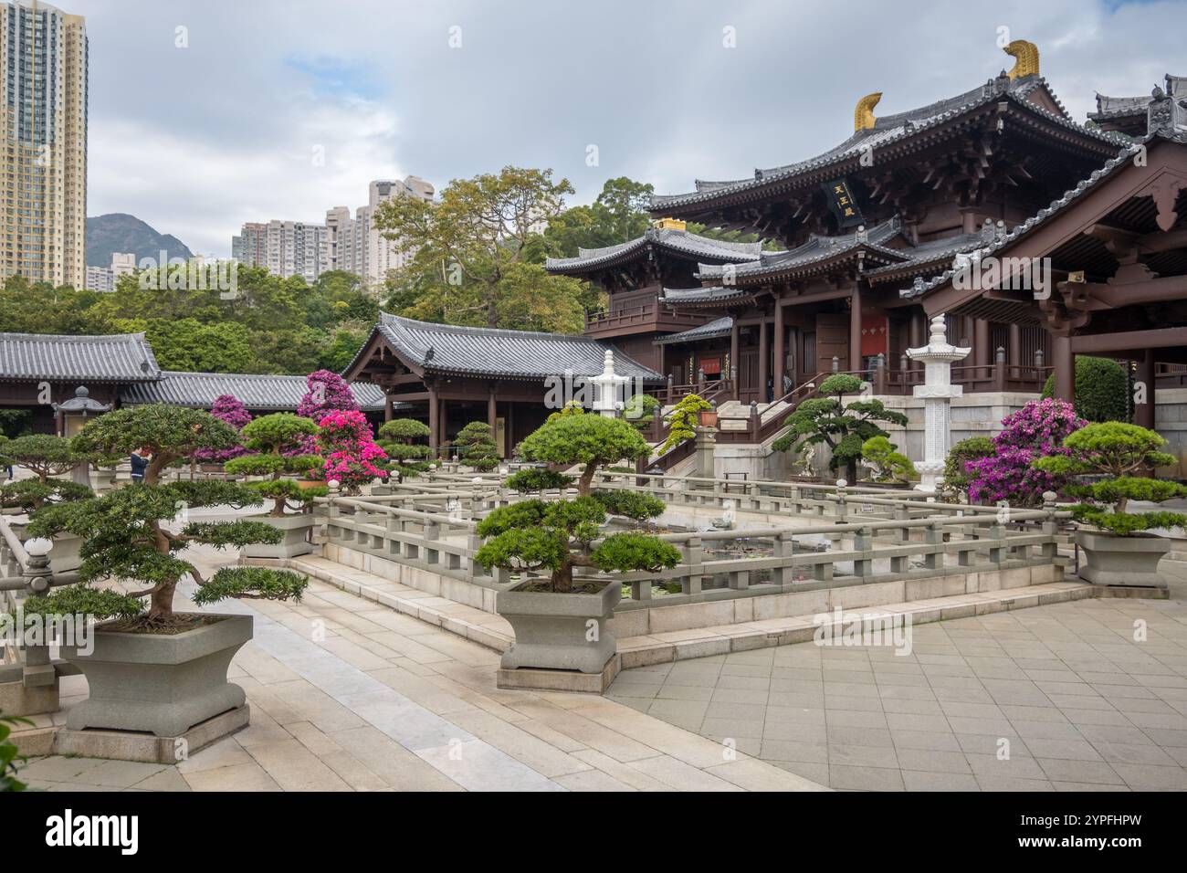 Traditional Chinese Temple Garden in Chi Lin Nunnery, Hong Kong Stock ...