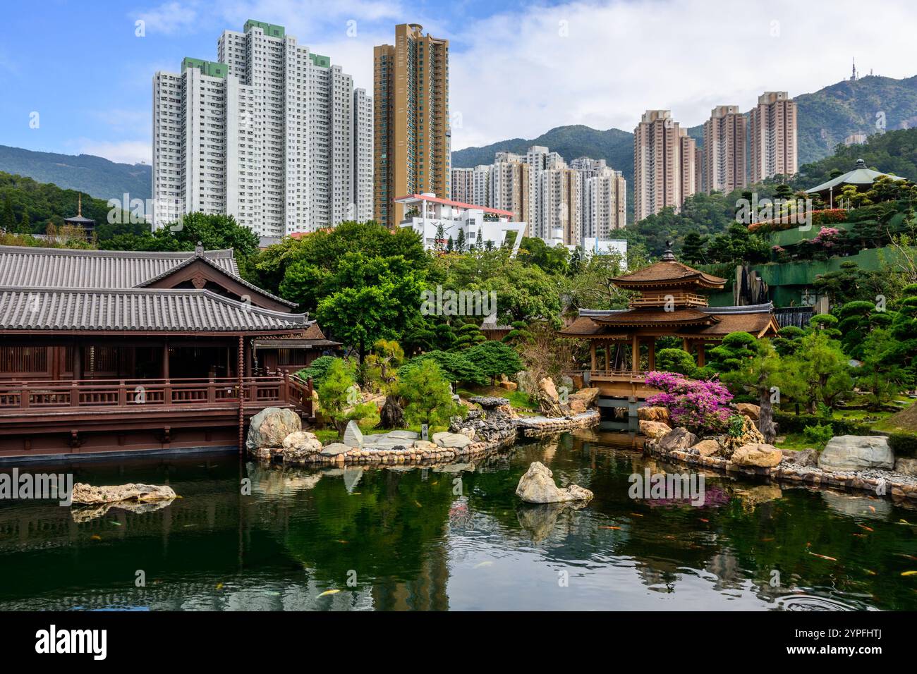 Serene Pond with Koi Fish at Nan Lian Garden, Hong Kong Stock Photo - Alamy