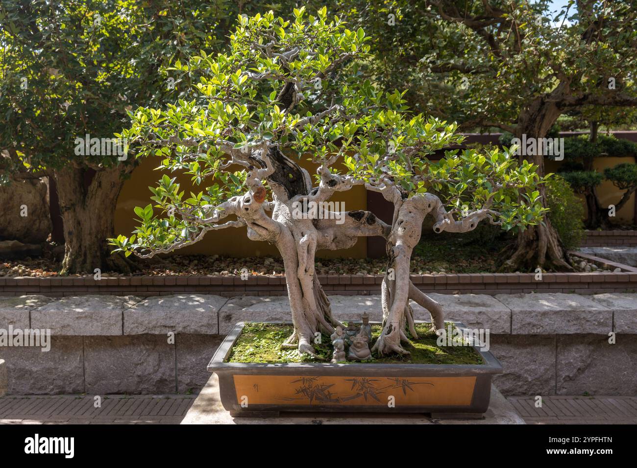 Detailed botanical figures hi-res stock photography and images - Alamy