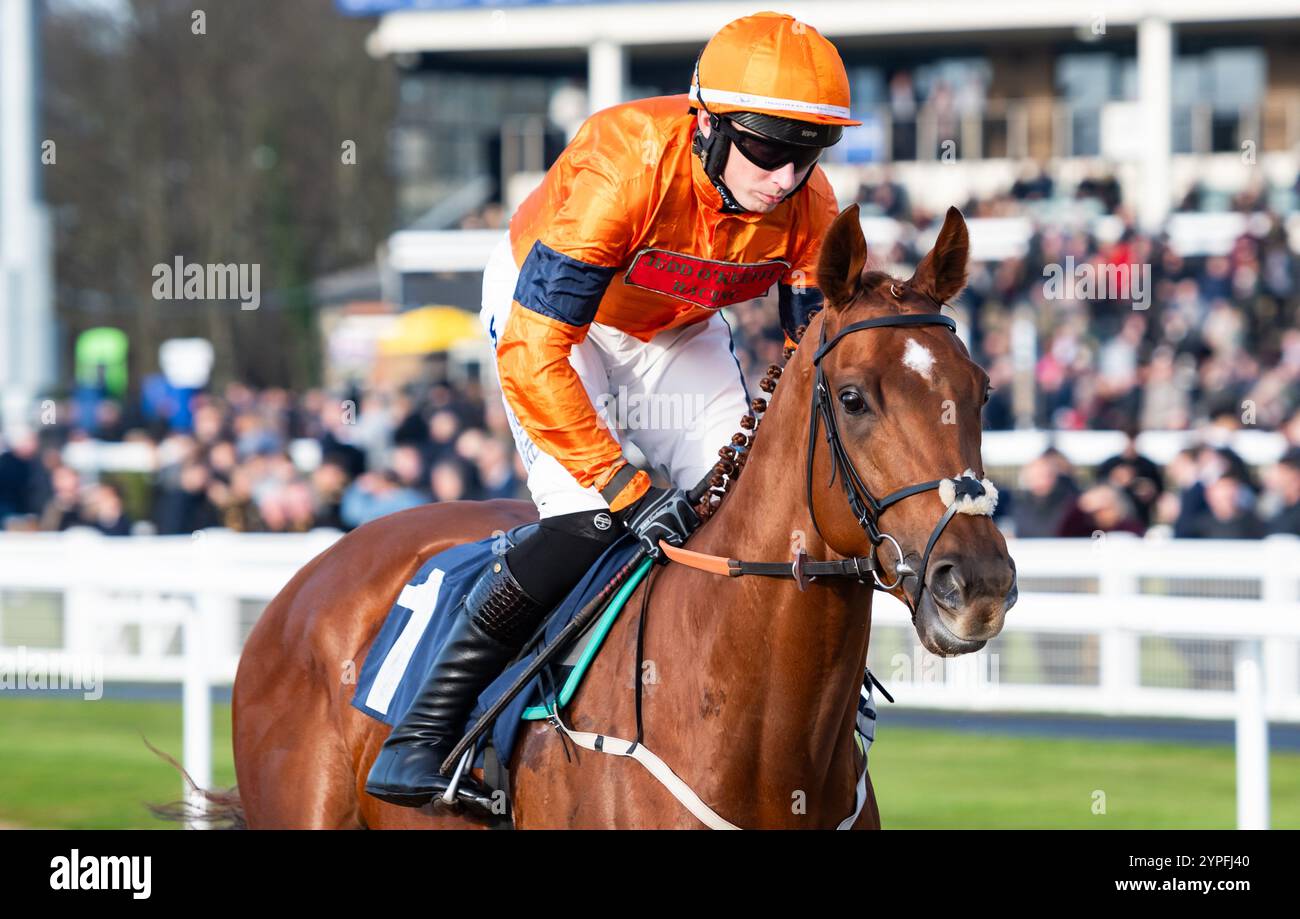 Newcastle, United Kingdom, Saturday 30th November 2024; Inappropriate ...