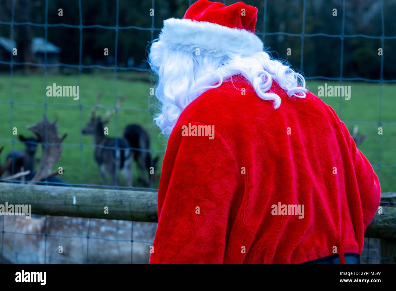 Mental elf hi-res stock photography and images - Alamy