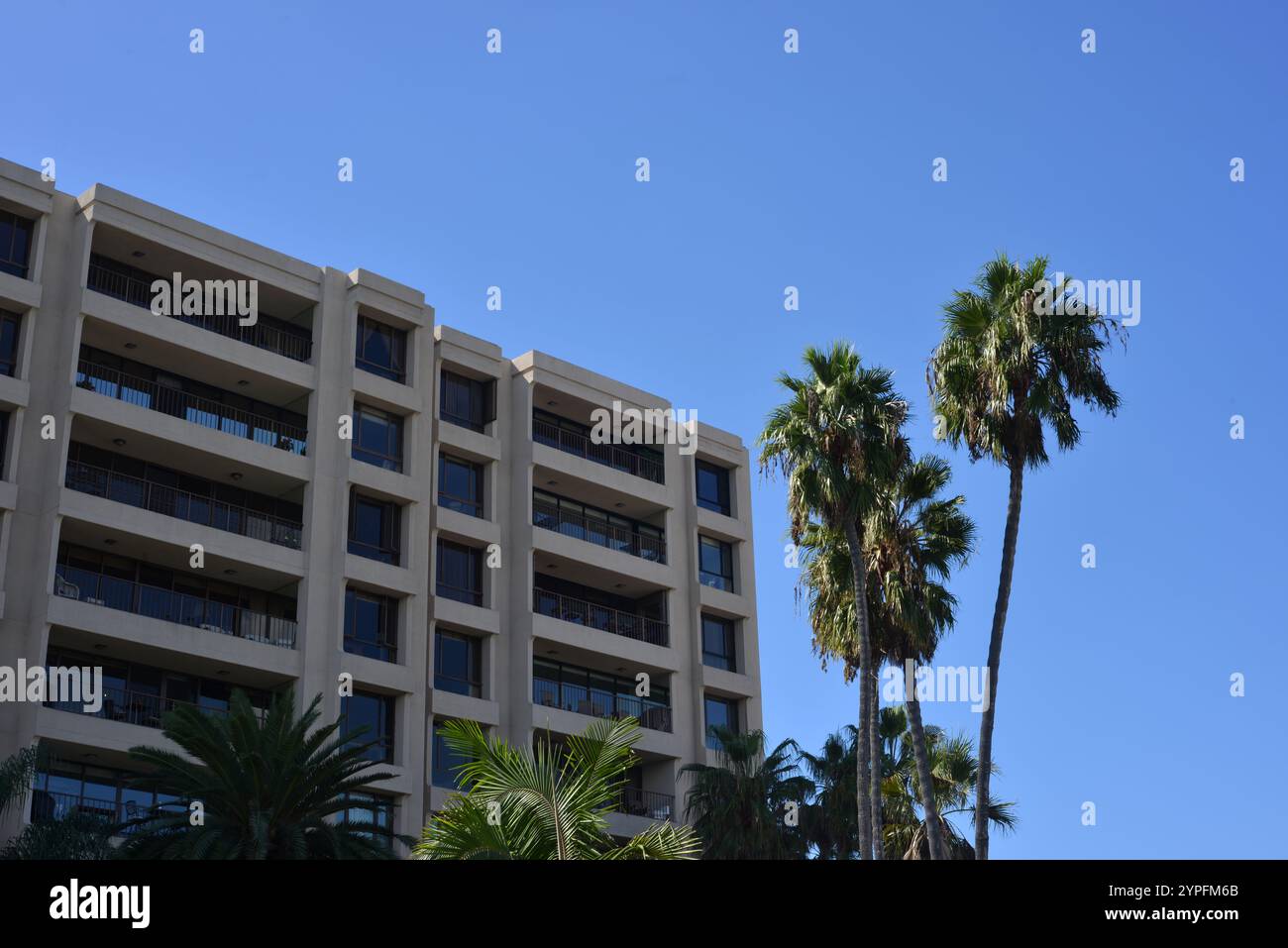 Hotel architecture and palm trees in Irvine, California Stock Photo - Alamy