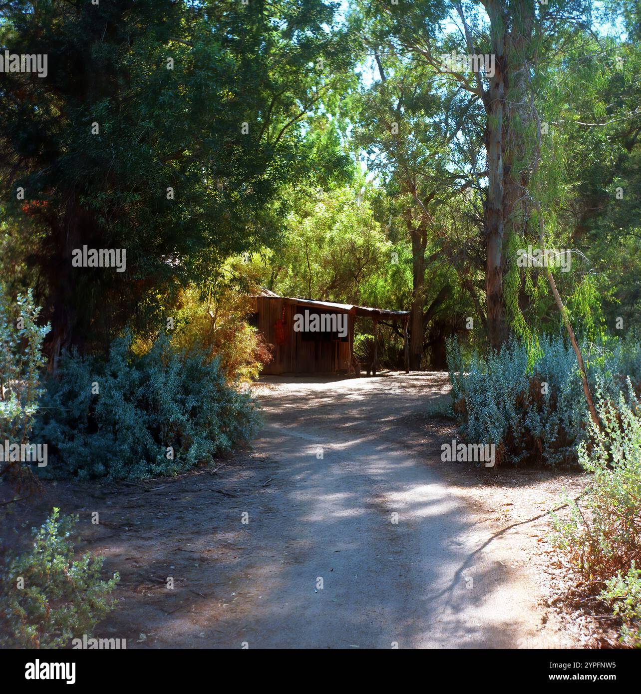Film image of Old abandoned wooden house in Southwest Arizona Stock ...