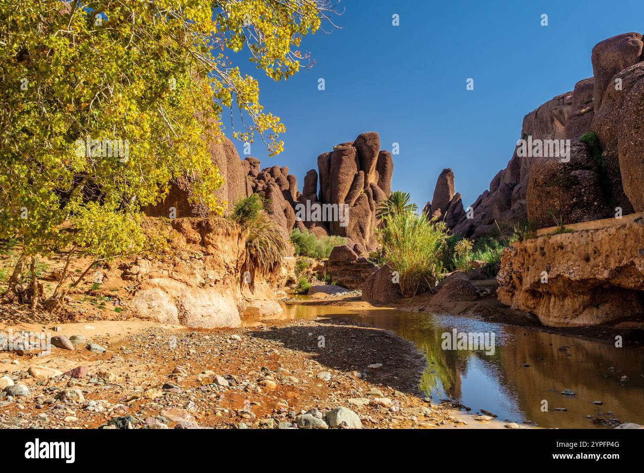 Gorges Tislite / Tislit Gorge in the Jebel Sirwa / Siroua region of the ...