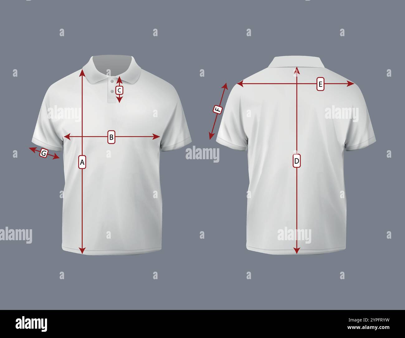Measures polo shirt. Size Chart Sketch of front and rear views Stock Vector Image & Art - Alamy