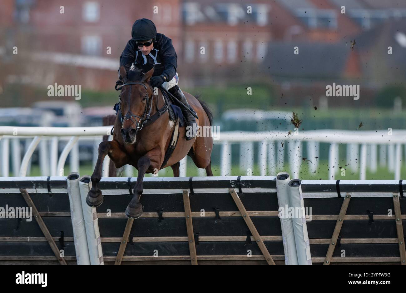 Trainer dan skelton alcester hi-res stock photography and images - Alamy