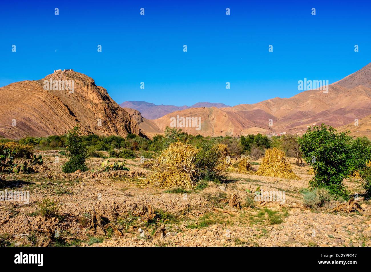 Fertile valley in the Jebel Sirwa area, (Jebel Siroua ) of the anti ...